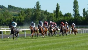 PRIX AUGUSTE DE CASTELBAJAC QUINTE 08-01-2025